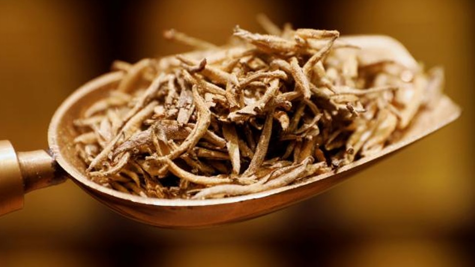 Golden Needle Tea News in Malayalam: പേര് ഗോള്‍ഡന്‍ തേയില, വില വെറും ...