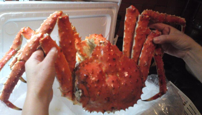 Most expensive crab in world | News in Malayalam: റെക്കോര്‍ഡ് വില ...