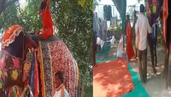 Baba Ramdev falls an elephant, while doing Yoga | ആന അനുവദിച്ചാല് ...