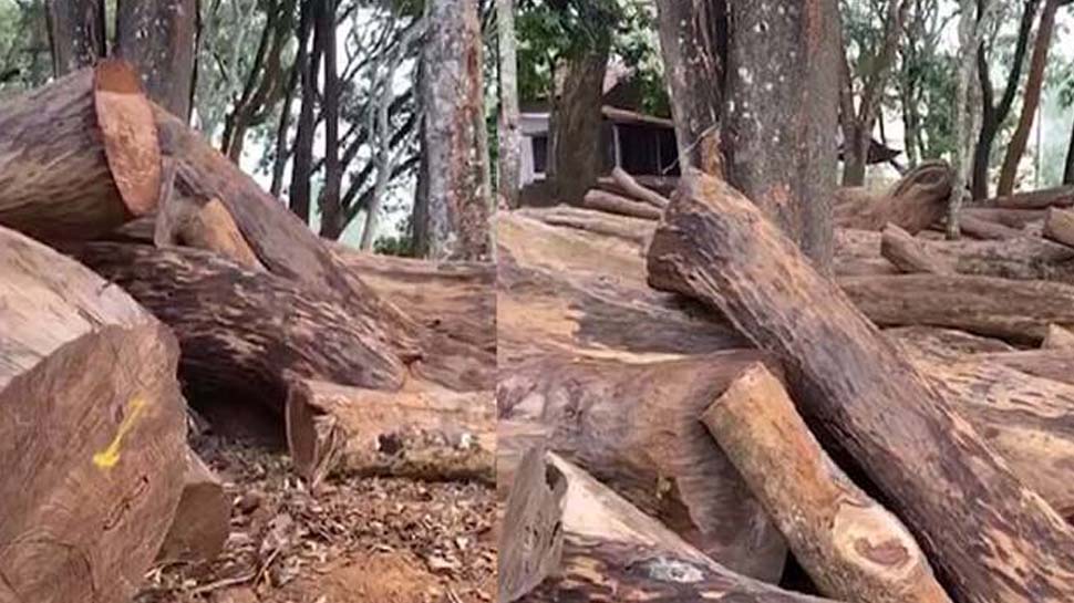 muttil tree cutting case investigation crime branch adgp sreejith is in ...