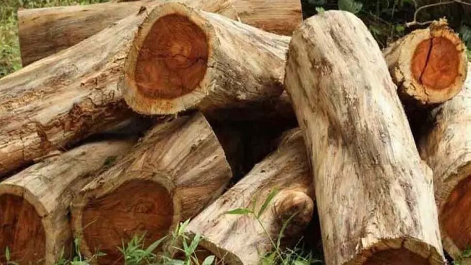 crime branch team was formed to investigate the conspiracy in the ...