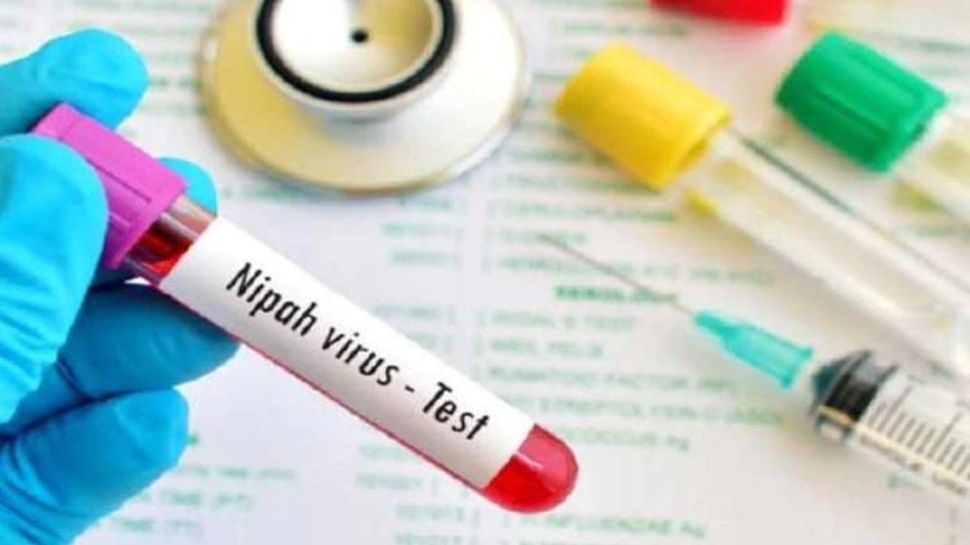 Kerala Nipah virus update 6 people added in contact list of 12 year old ... Kerala Nipah virus update 6 people added in contact list of 12 year old ...