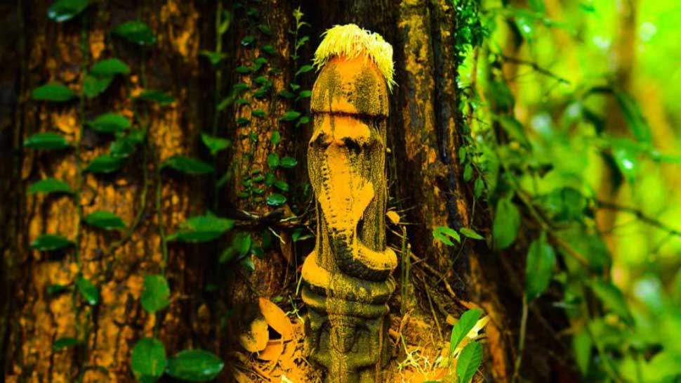 Importance of Ayilya Pooja on the day of Kanni Ayilyam l Kanni Ayilyam ...