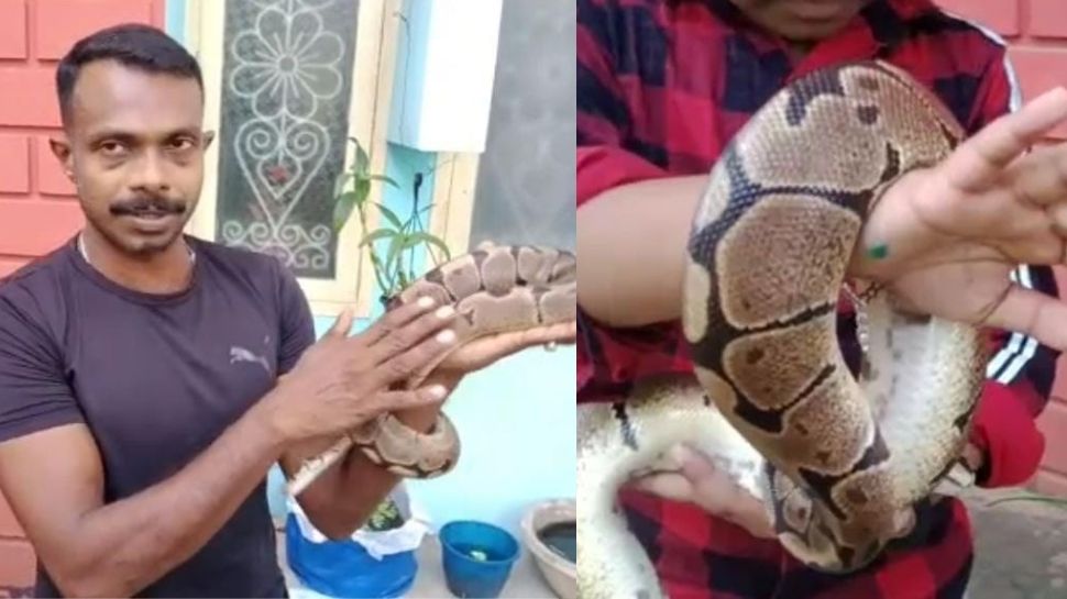 Viral News of a Python Auto Driver raises the snake as a member of his ...