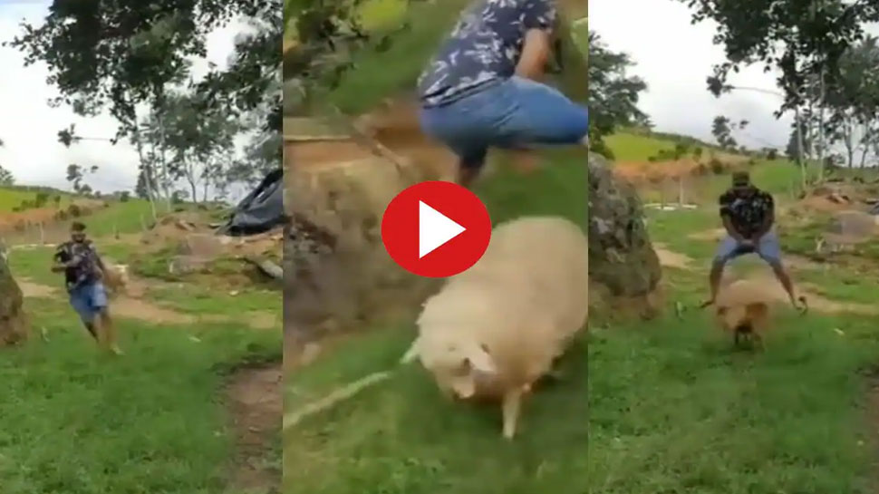 Funny video comedy video viral video today google trending video man ...