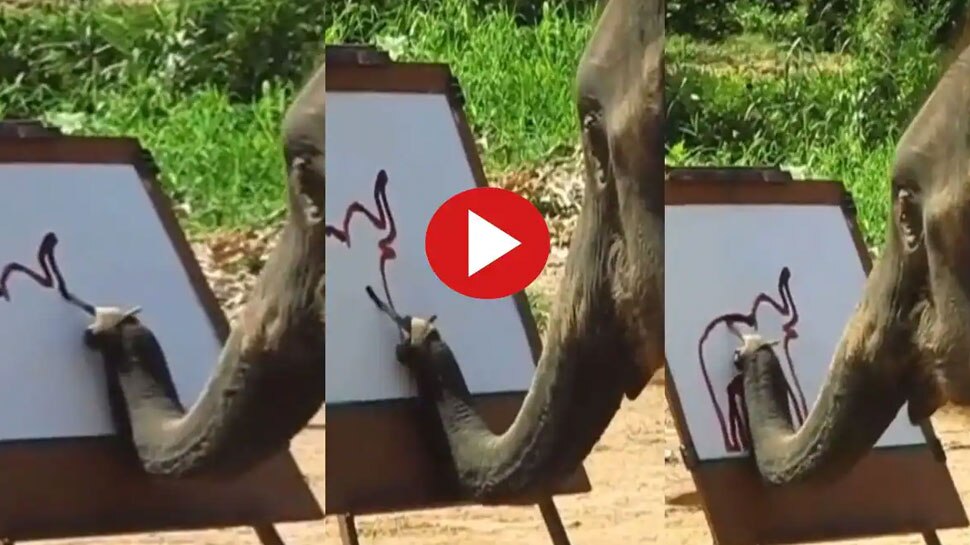 Viral video google trending video of elephant made perfect painting ...