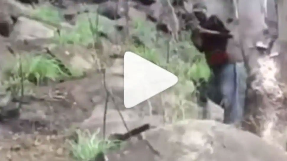 Watch viral video google trending of snake attacks man in forest see ...