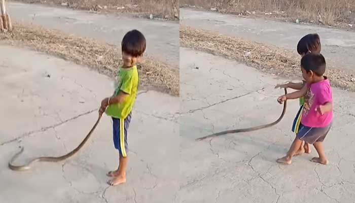 Viral video snake viral video kid playing with dangerous snake see what ...