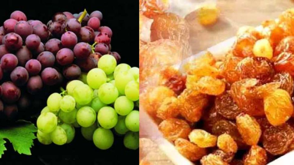 Grapes benefits grape and raisin difference grapes or raisins good for ...