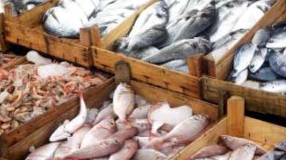 Kerala news four people of a family hospitalized after eating fish in ...