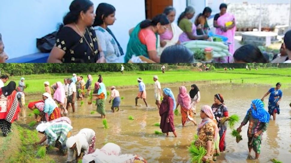 Kudumbashree is a model for the whole world; the biggest women ...