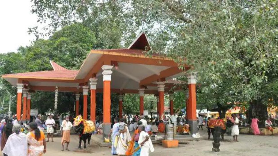 Ochira annual ritual occured in kollam ochira Parabrahma Temple ...