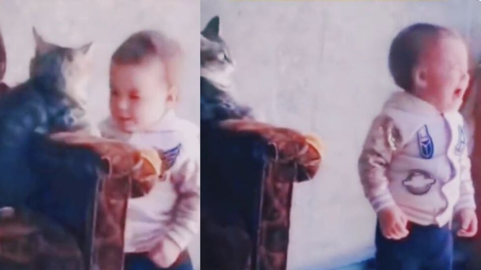Viral Video of a child and a cat child crying after hitting the kitty ...