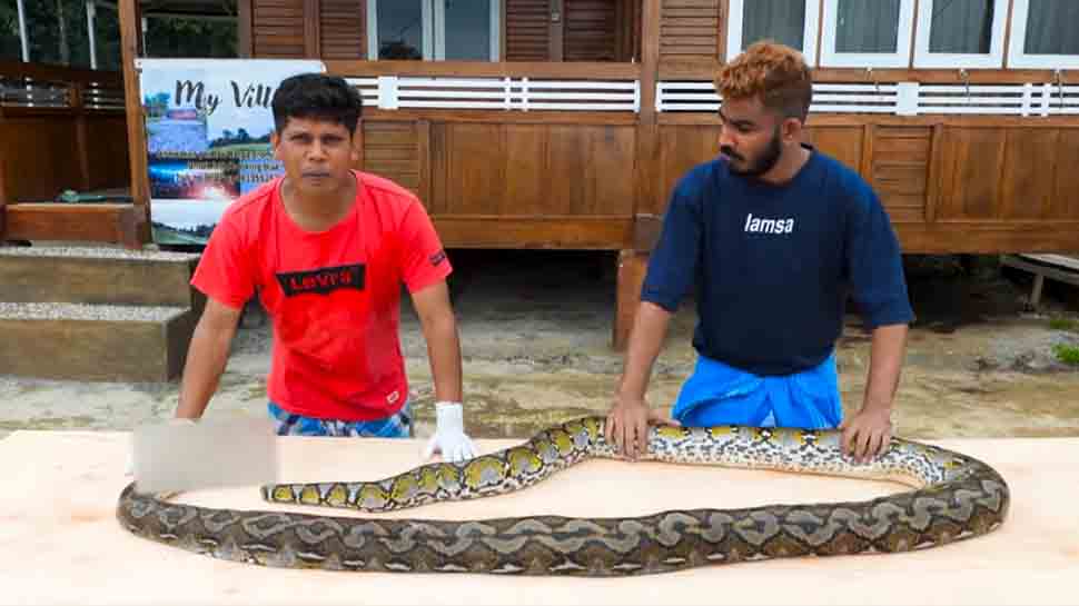 Viral Video Food Blogger Firoz Chuttipara Shares New Snake Grill Vlog ...