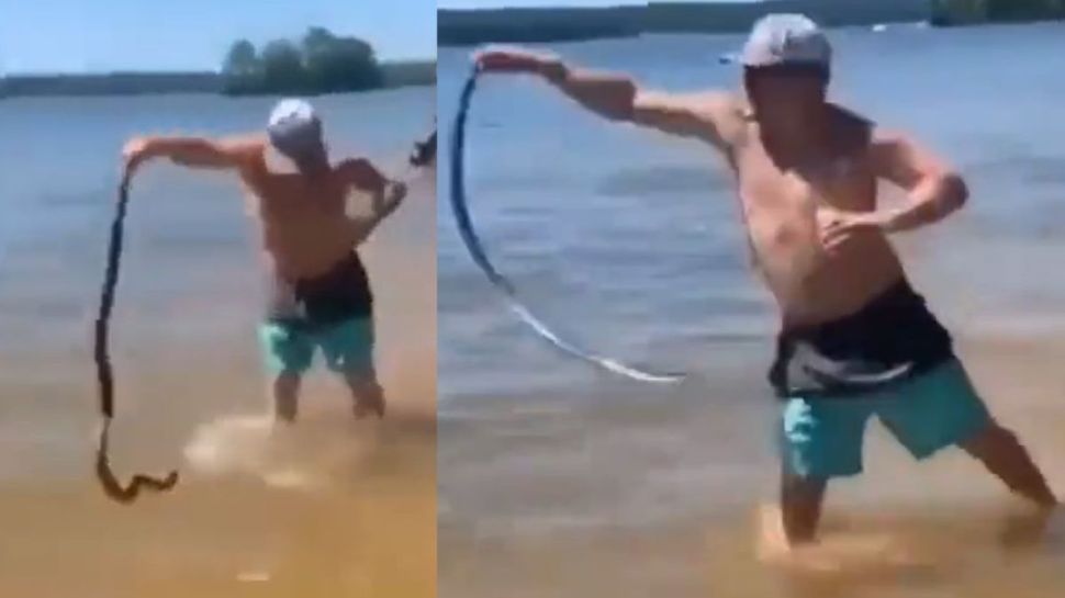 Viral Video man grabbing snake out of water, then does this hilarious ...