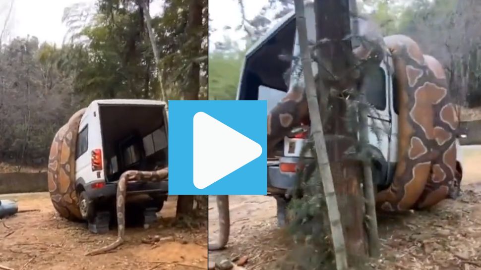 Viral Video Big Python Wrapped around the van Know the real Truth OMG ...