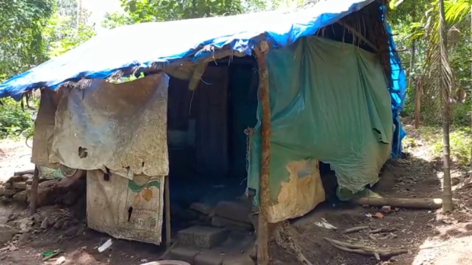 Government fund not enough Home construction; Tribals of Kalikavu still ...