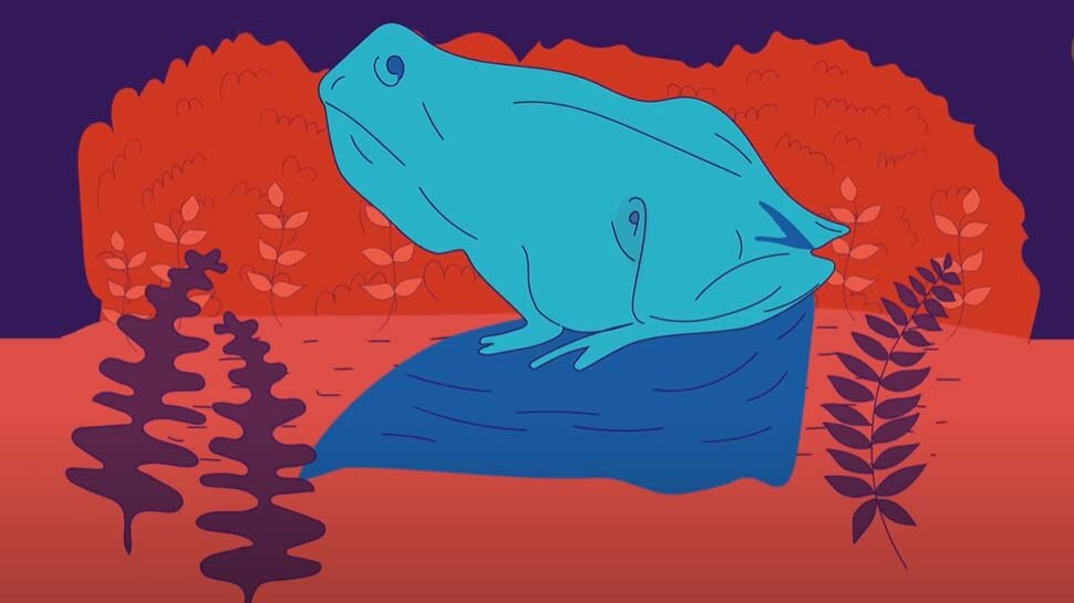 Optical Illusion Friendship Test this picture will unveil the things ...