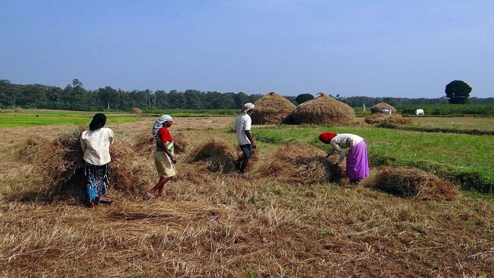 India bans Broken Rice export with effect from September 9 to increase ...