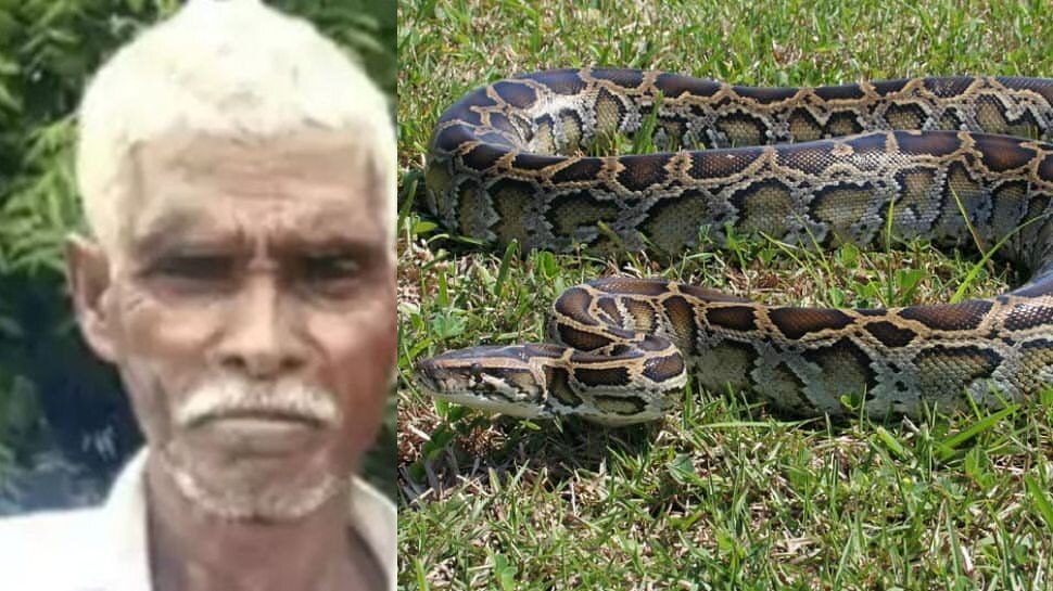 Python killed the old man in Tamil Nadu | കിണറ്റിൽ വീണ മലമ്പാമ്പിനെ ...