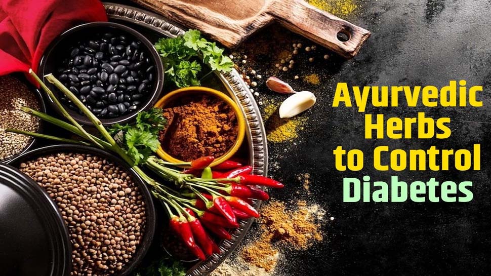 Herbs for Diabetes 4 Ayurvedic Herbs helps to reduce Blood Sugar levels ...