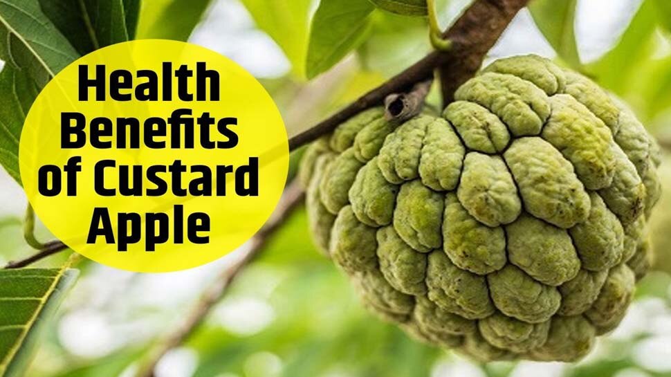 Know the good reasons to not avoid Custard Apple from your diet ...
