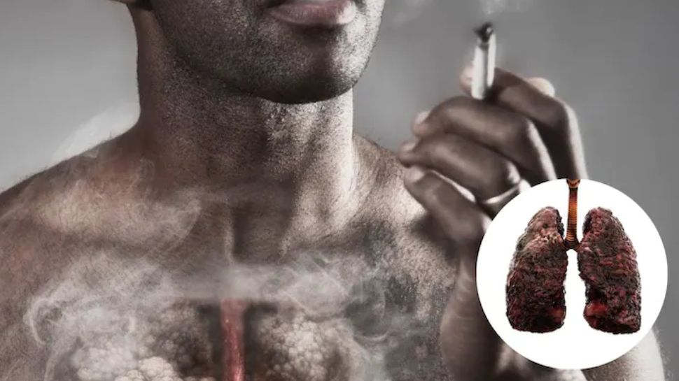 Smoking What Happens When You Smoke 10 Cigarettes A Day | Smoking ...
