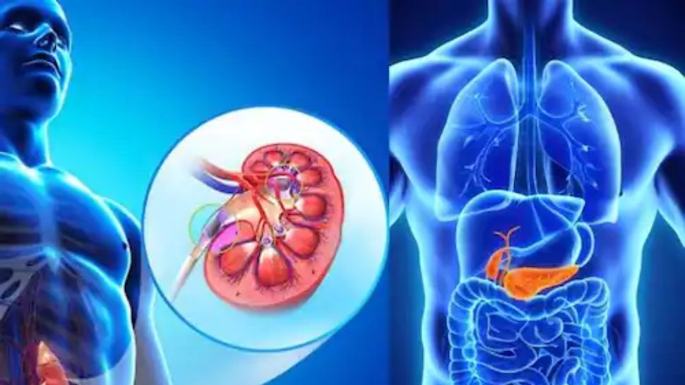 Gall Bladder Diseases Colour Of Your Urine Can Say If Your Bladder Is ...