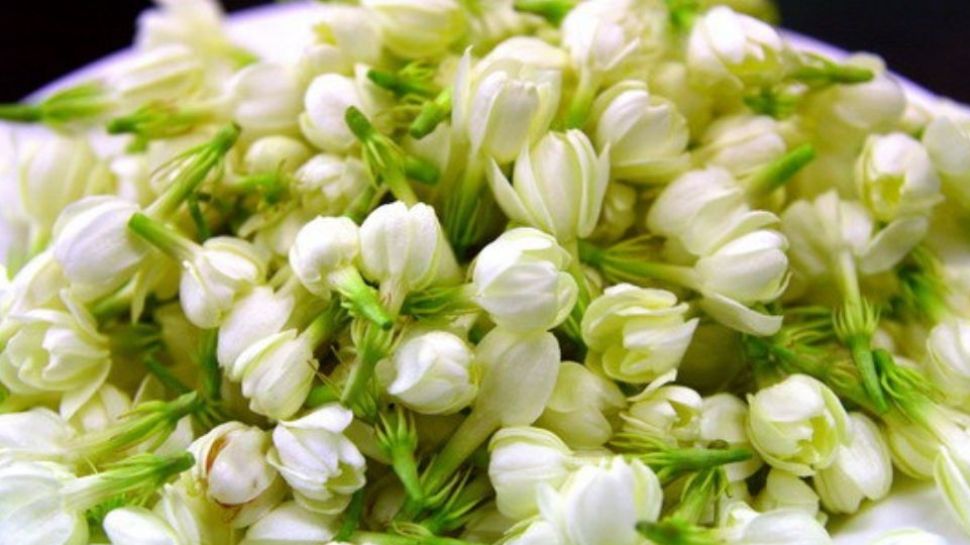 Jasmine price is drasticaly increasing madurai malli rate 4000rs per kg ...