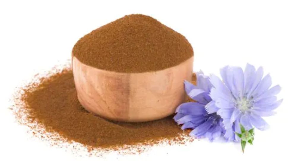 Chicory: തലവേദന മാറാനും ദഹനപ്രശ്നങ്ങൾ പരിഹരിക്കാനും ഉത്തമം; അറിയാം ...