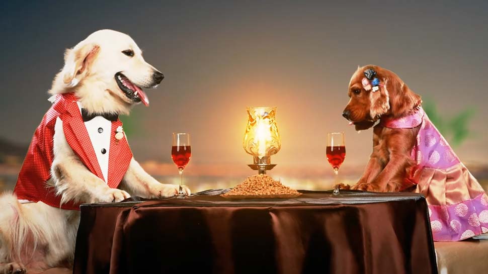 Valatty Movie Motion Poster out now the movie telling the love story of ...