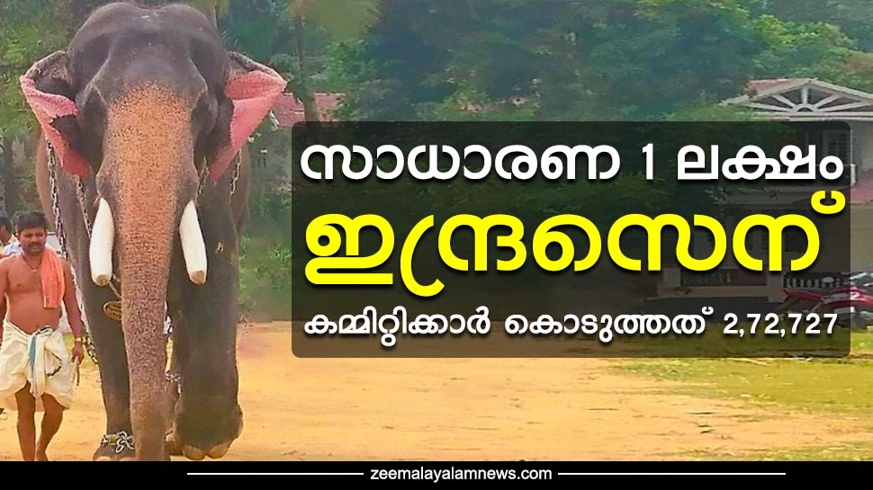 Guruvayoor Dewasom Elephant Indrasen Get Record Auction rate of Rupees ...