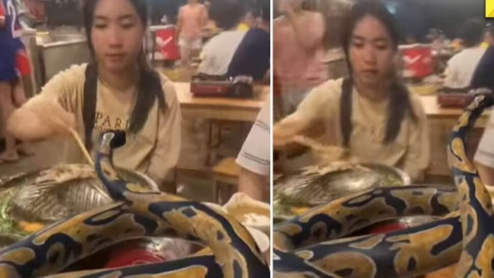 Omg viral video women dine with giant python know the truth behind this ...