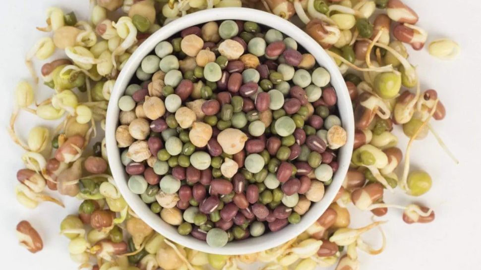 Five Types Of Sprouts For Your Summer Diet Plan | Sprouts For Summer ...