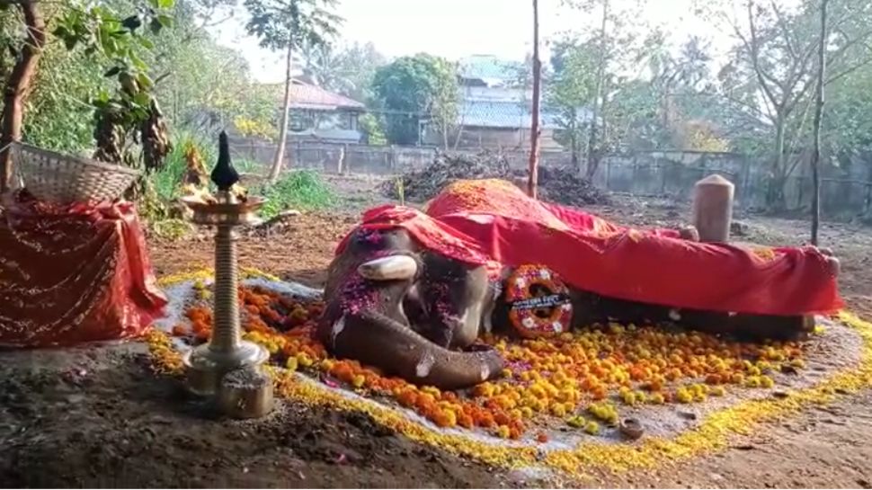 Paramekkavu Devidasan Elephant Died Special Report | പൂരത്തിന് ദിവസങ്ങ ...