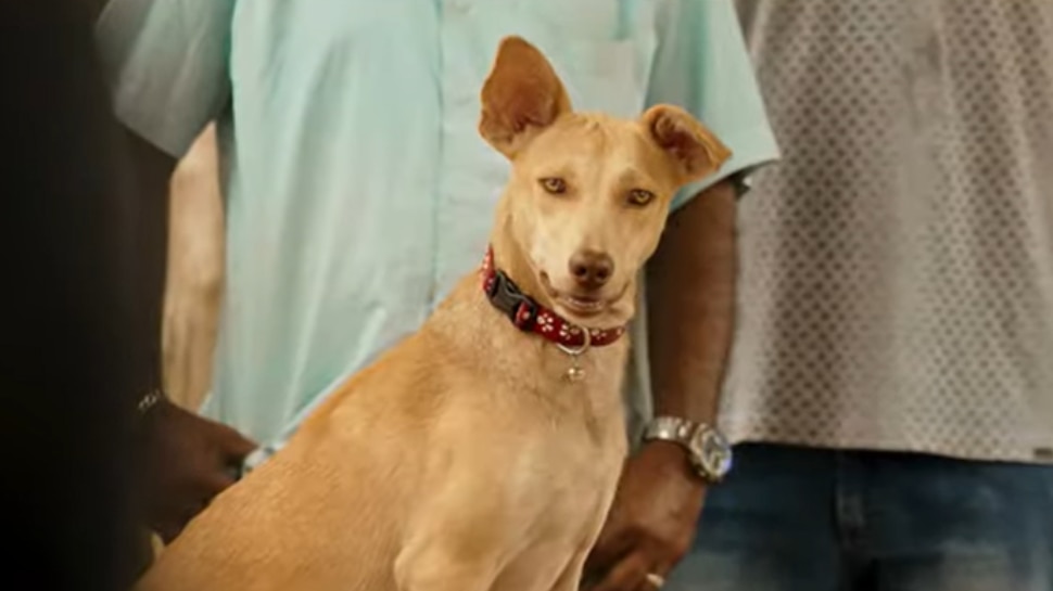 Neymar movie trailer released movie to hit theatres on may 12 ...