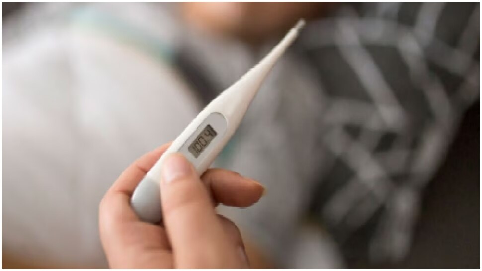 Another fever death in Kerala; The woman, a native of Kasaragod died while undergoing treatment ...