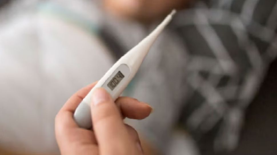 Fever Death Continues In Kerala 3 Deaths Reported | Fever Death ...