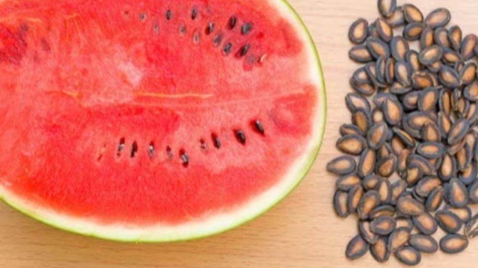 5 Benefits Of Watermelon Seeds Why You Shouldnt Toss Away Tarbuz Ke ...