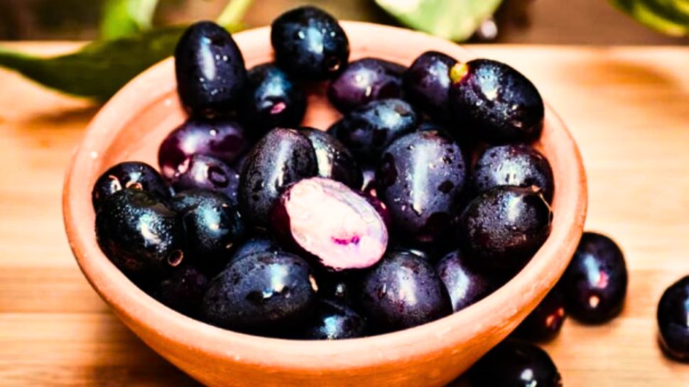 What are the Benefits Of Eating Java Plum Every Day | ഞാവൽ പഴം കഴിച്ചാ ...