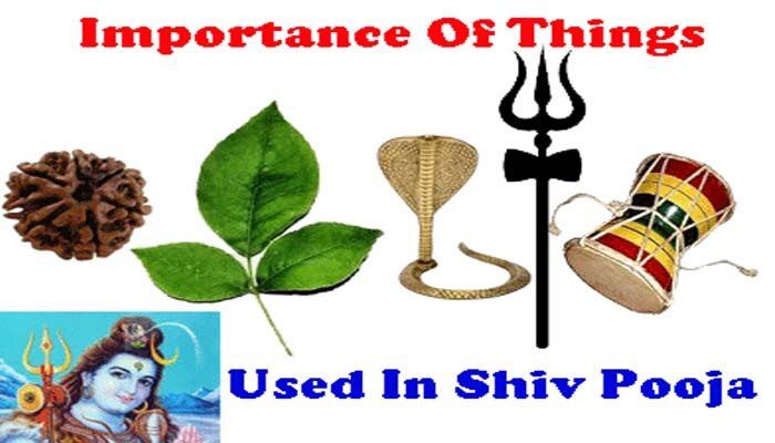 Bring these things at home during Sawan month to get blessings for Lord ...