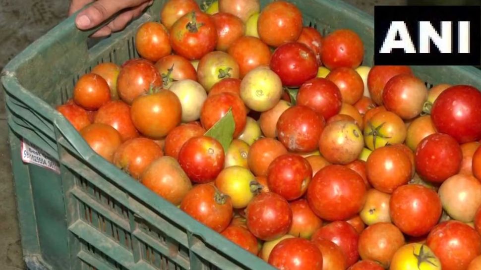 Tomato Lorry Missing with 21 Lak worth Load in the route to Rajasthan ...