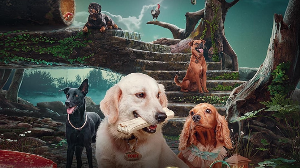 Valatty Movie ott release date digital rights acquired ott platform ...