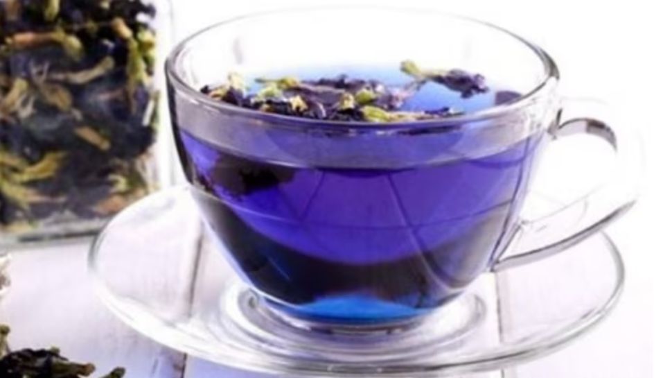 What Is Blue Tea And How Is It Different From Green Tea Know The ...