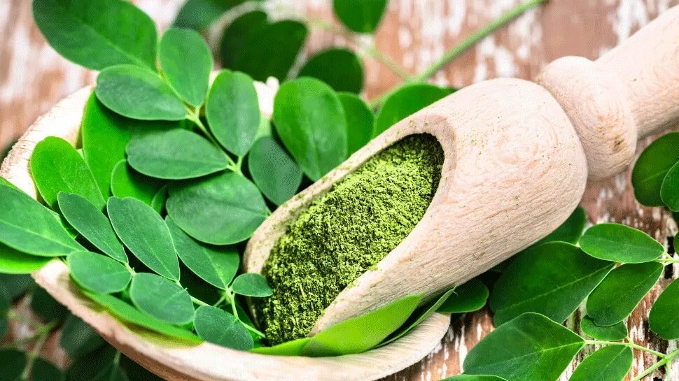 Muringa Leaf| From Cholesterol to Weight Loss Surprising Benefits of ...