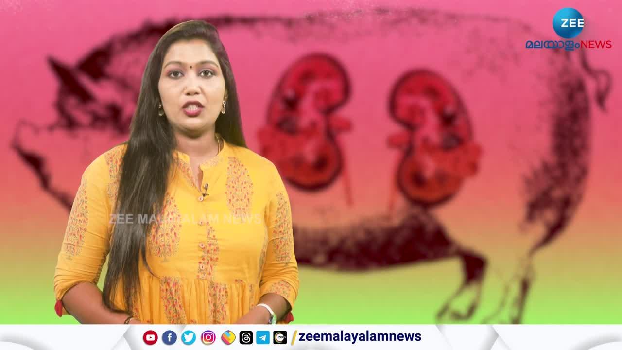 പന്നിയുടെ വൃക്ക മനുഷ്യനില്‍ | News in Malayalam