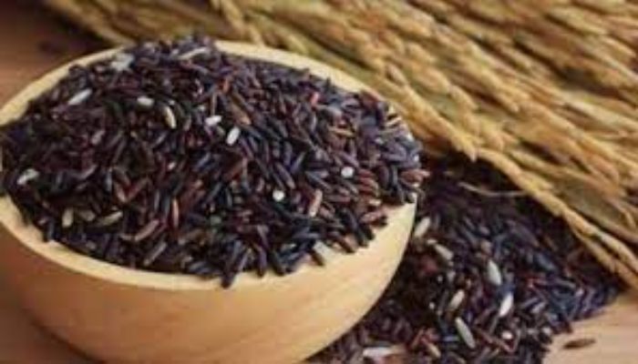Black Rice Benefits How it is healthier than other rice? | Black Rice ...