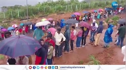 Vagamon News in Malayalam, Latest Vagamon news, photos, videos | Zee ...