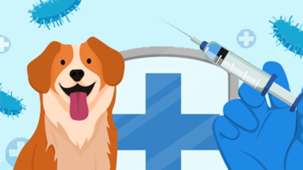 World Rabies Day 2023 Theme History and Prevention Rabies Cause ...