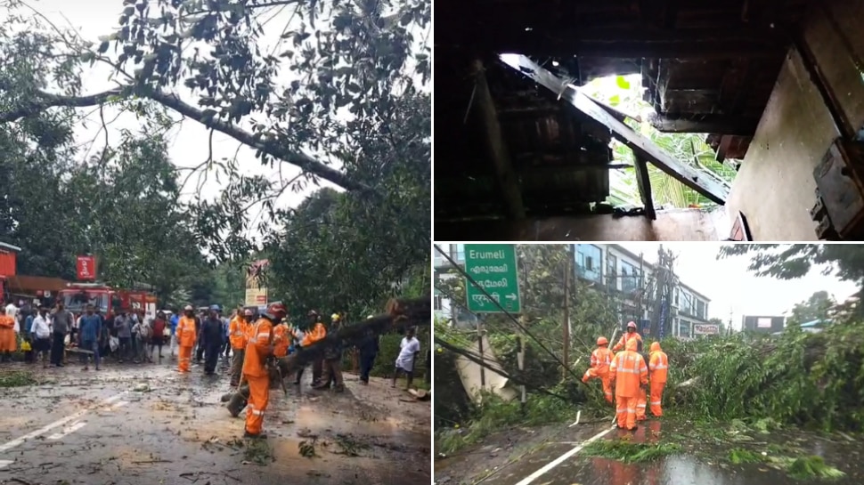 Kerala heavy rain tree fell onto the road due to heavy rain and wind ...